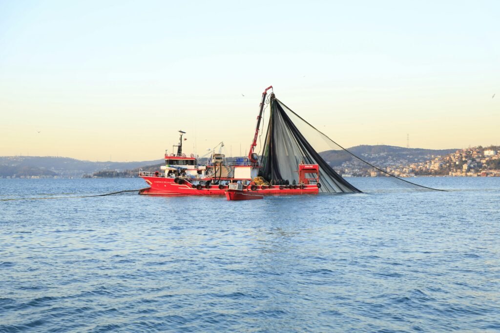 Catch to Kitchen The Vital Role of Commercial Fishing in the Restaurant ...
